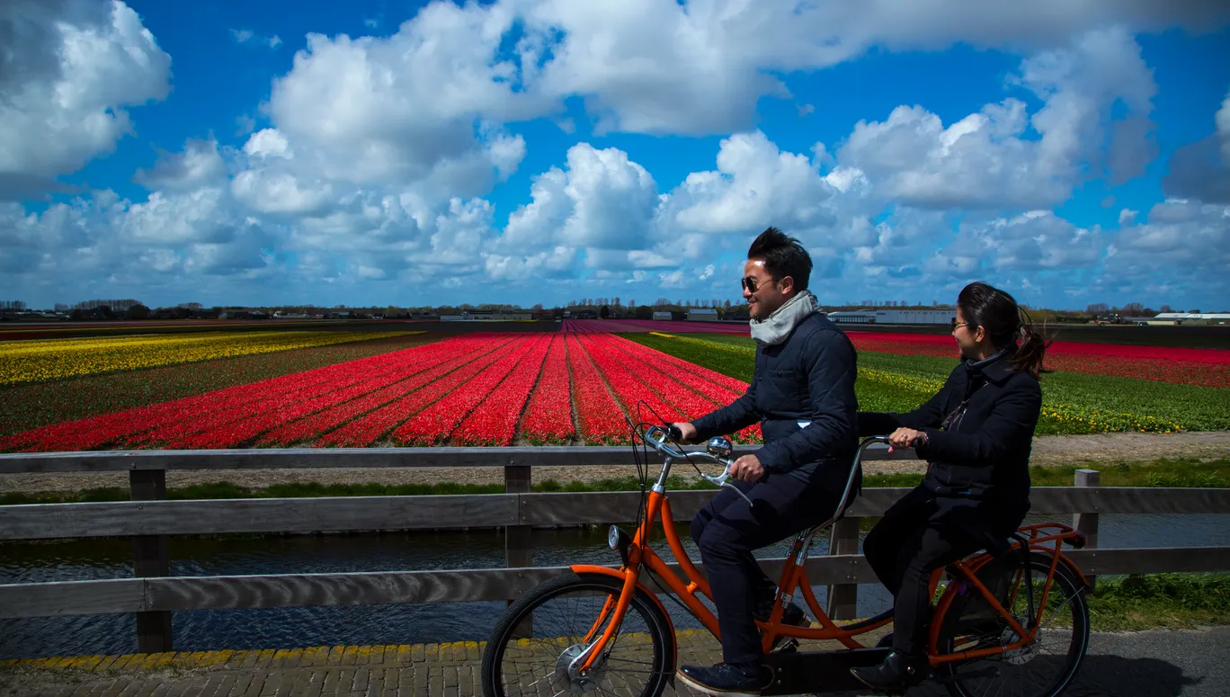 New relocation app for international talent | I amsterdam