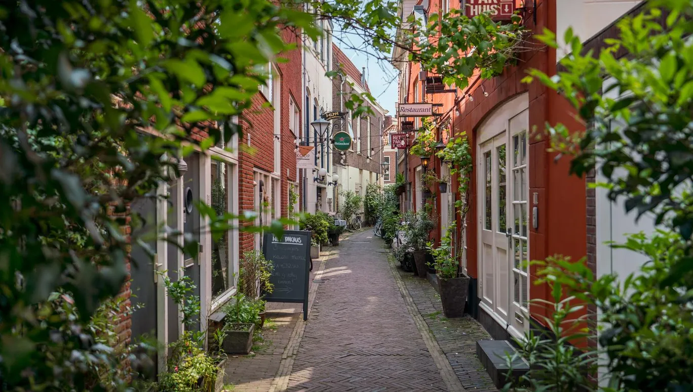 6 hours in Haarlem | I amsterdam