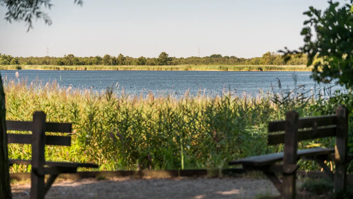 Amsterdam's best nature areas | I amsterdam