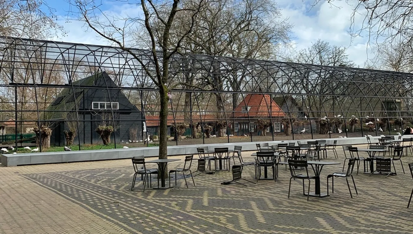 De beste terrassen in de Plantage | I amsterdam