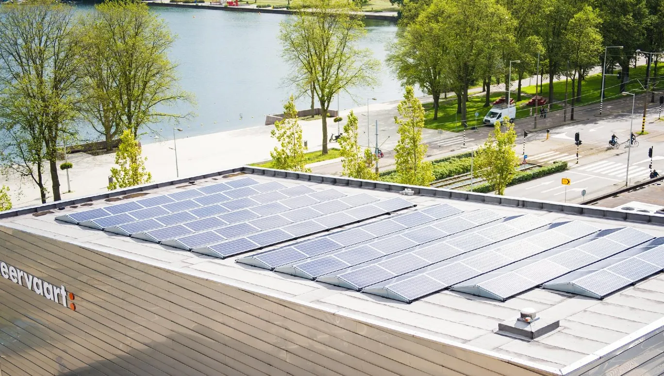 sustainability & inclusivity