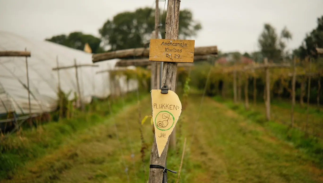 Seasonal autumn produce in Amsterdam | I amsterdam
